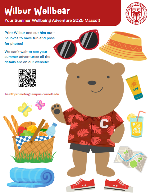 Summer Wellbeing Adventure | Health Promoting Campus